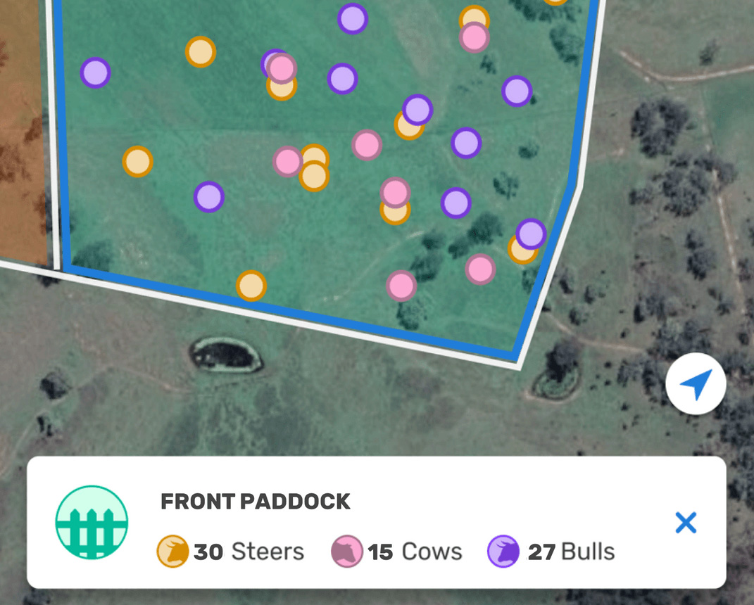Cattle Tracking - 5IR TECH