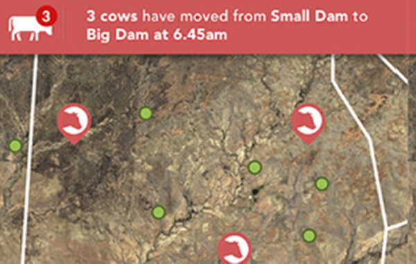 Cattle Tracking - 5IR TECH