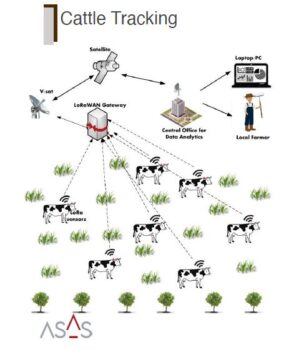 Cattle Tracking - 5IR TECH